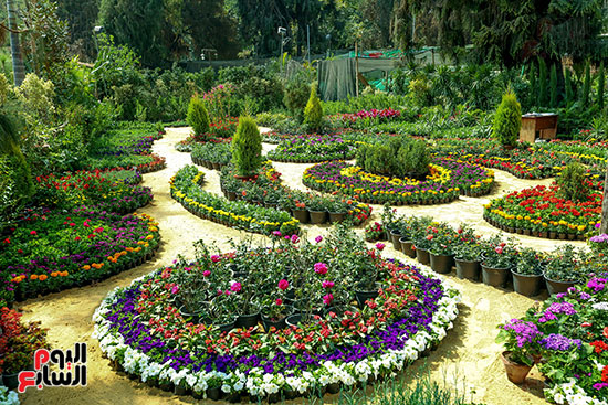 In pics: All you need to know about Egypt’s most famous botanical ...