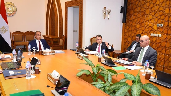 Egypt doubles down on Africa, Foreign Minister outlines a proactive ...