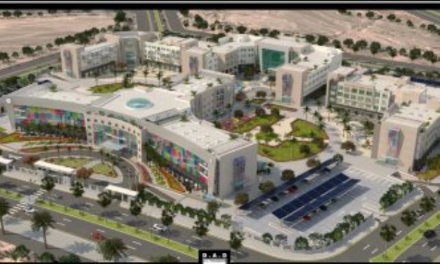 Cairo University President to lay cornerstone of largest pediatric ...