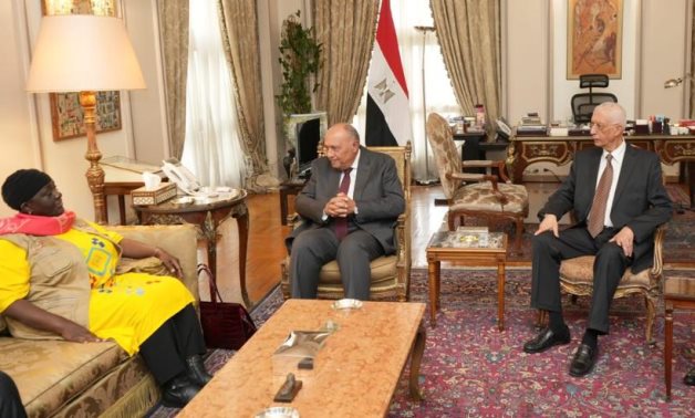 Egypt receives AU-COMESA joint mission for Presidential election ...
