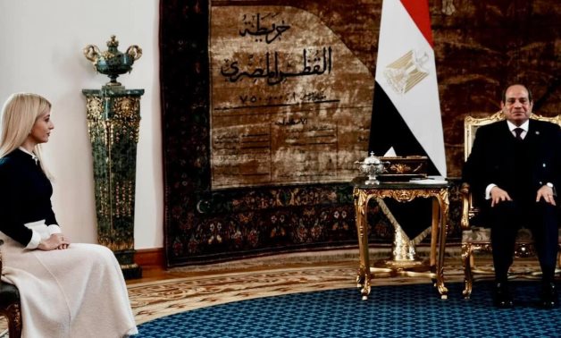 Egypt, Cyprus emphasize respect for sovereignty and territorial ...