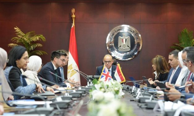 Egypt, UK advance talks on trade expansion, investment cooperation ...