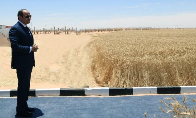 President El-Sisi attends 2026 wheat harvest season events during New ...