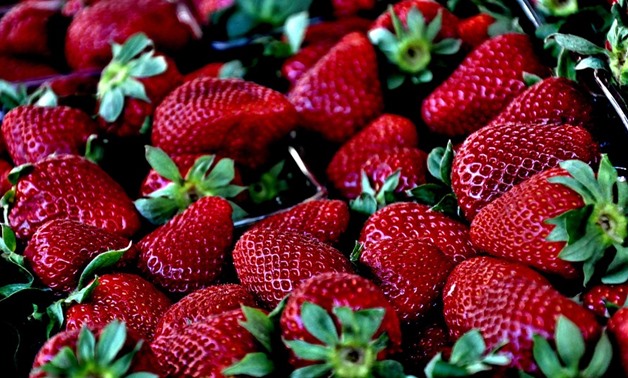 Egypt's frozen strawberry exports up 30% during 1st 10 months of 2022 ...